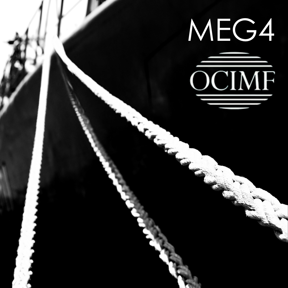 MEG4 Compliant Mooring Ropes and Their Importance - Blackrope
